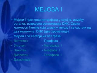 Mitoza i mejoza - Milijana Zec - Dimitrijević Radica | PPT