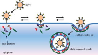 targeting methods.pptx