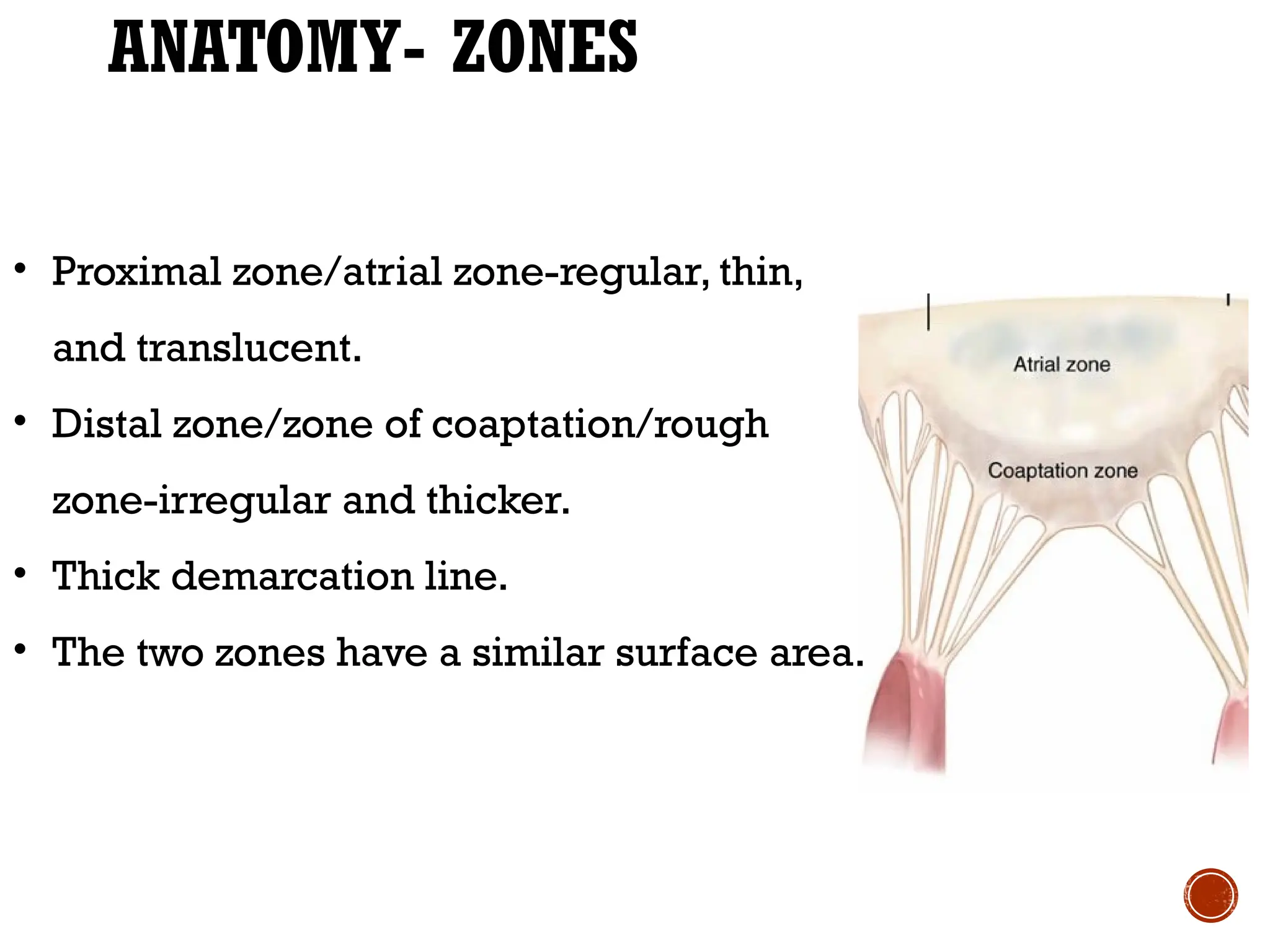 Mitral Regurgitation-Anatomy, pathophysiology, clinicals | PPTX