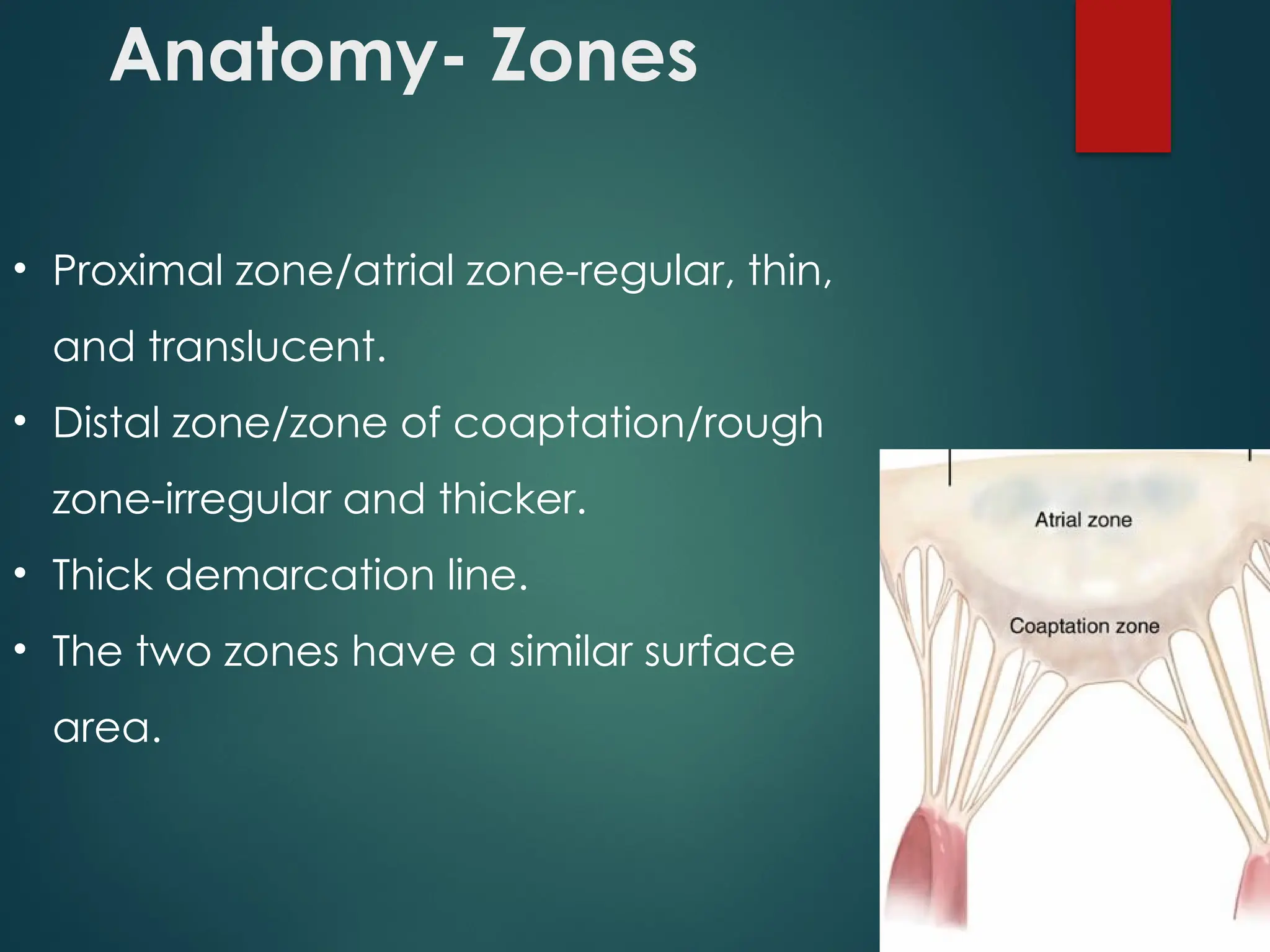 Mitral Stenosis- Pathophysiology, diagnosis and management | PPTX