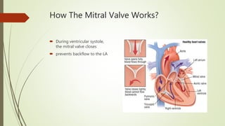 Mitral valve | PPTX