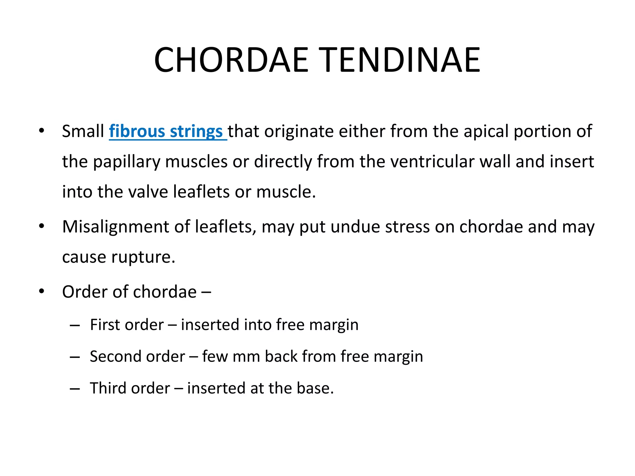 Mitral valve anatomy - ppt by kunwar sidharth | PPTX