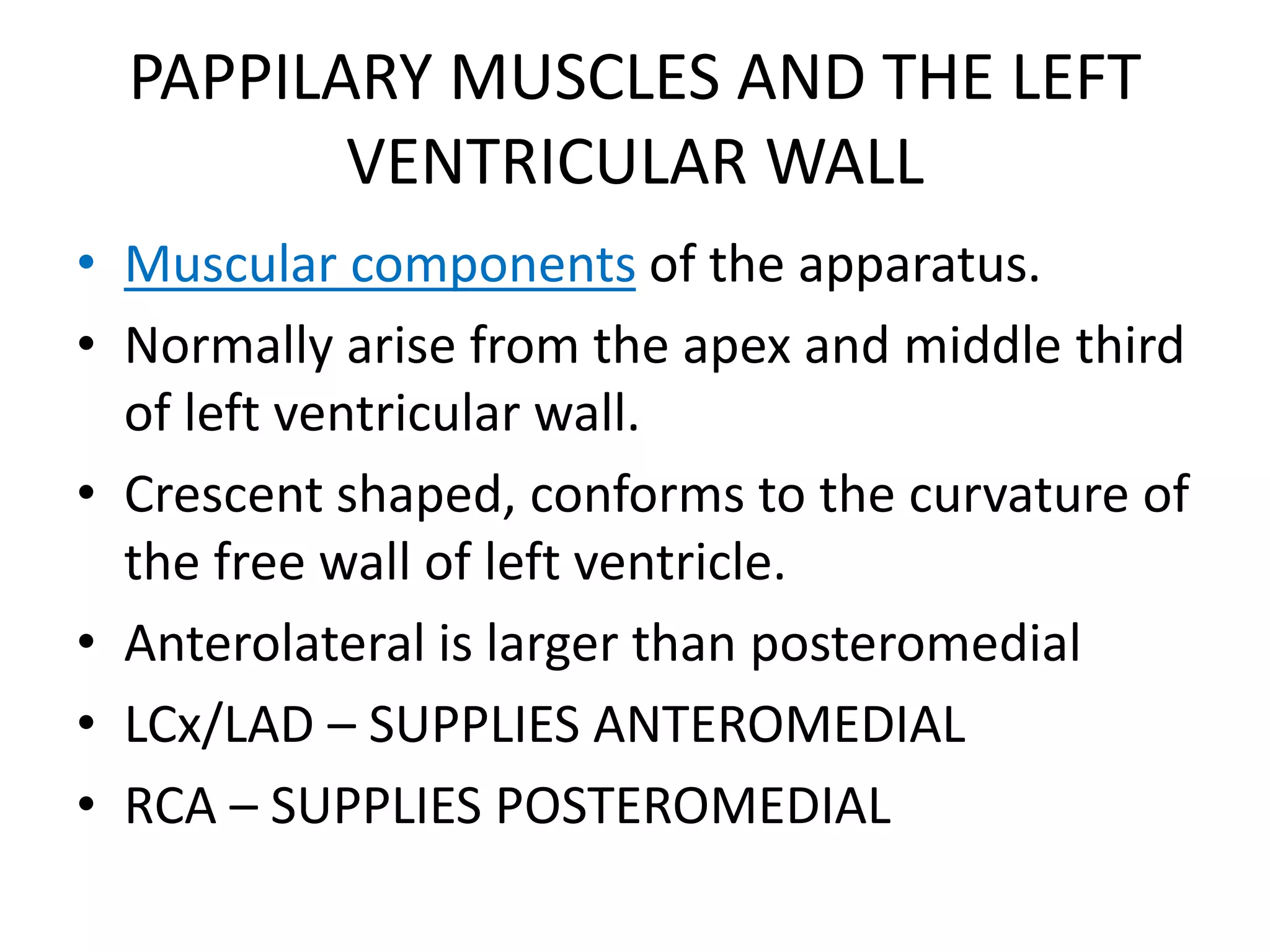 Mitral valve anatomy - ppt by kunwar sidharth | PPTX