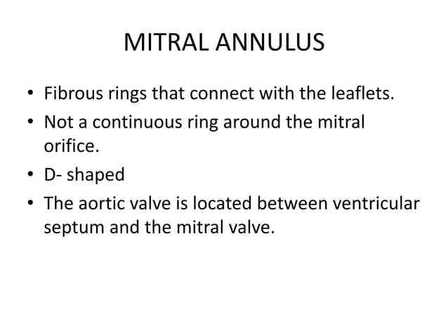 Mitral valve anatomy - ppt by kunwar sidharth | PPTX | Heart and ...