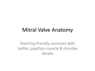 Mitral_Valve_Anatomy-with schematic diagram | PDF