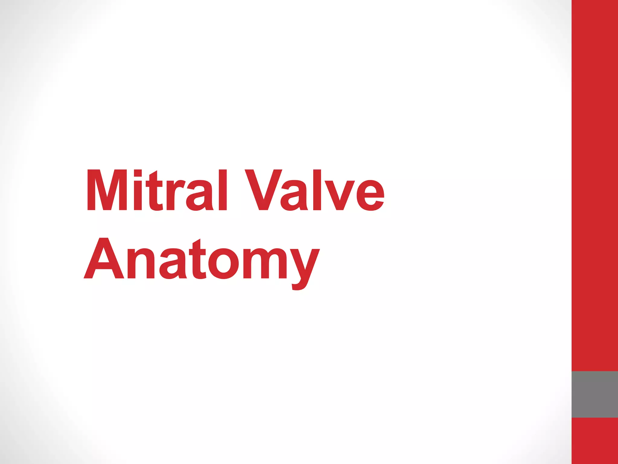 Mitral valve anatomy.pptx