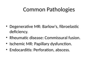 Mitral_Valve_Anatomy_Surgical_Perspective[1].pptx