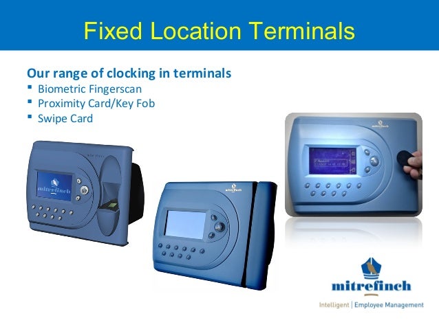 Mitrefinch Australia Introduction