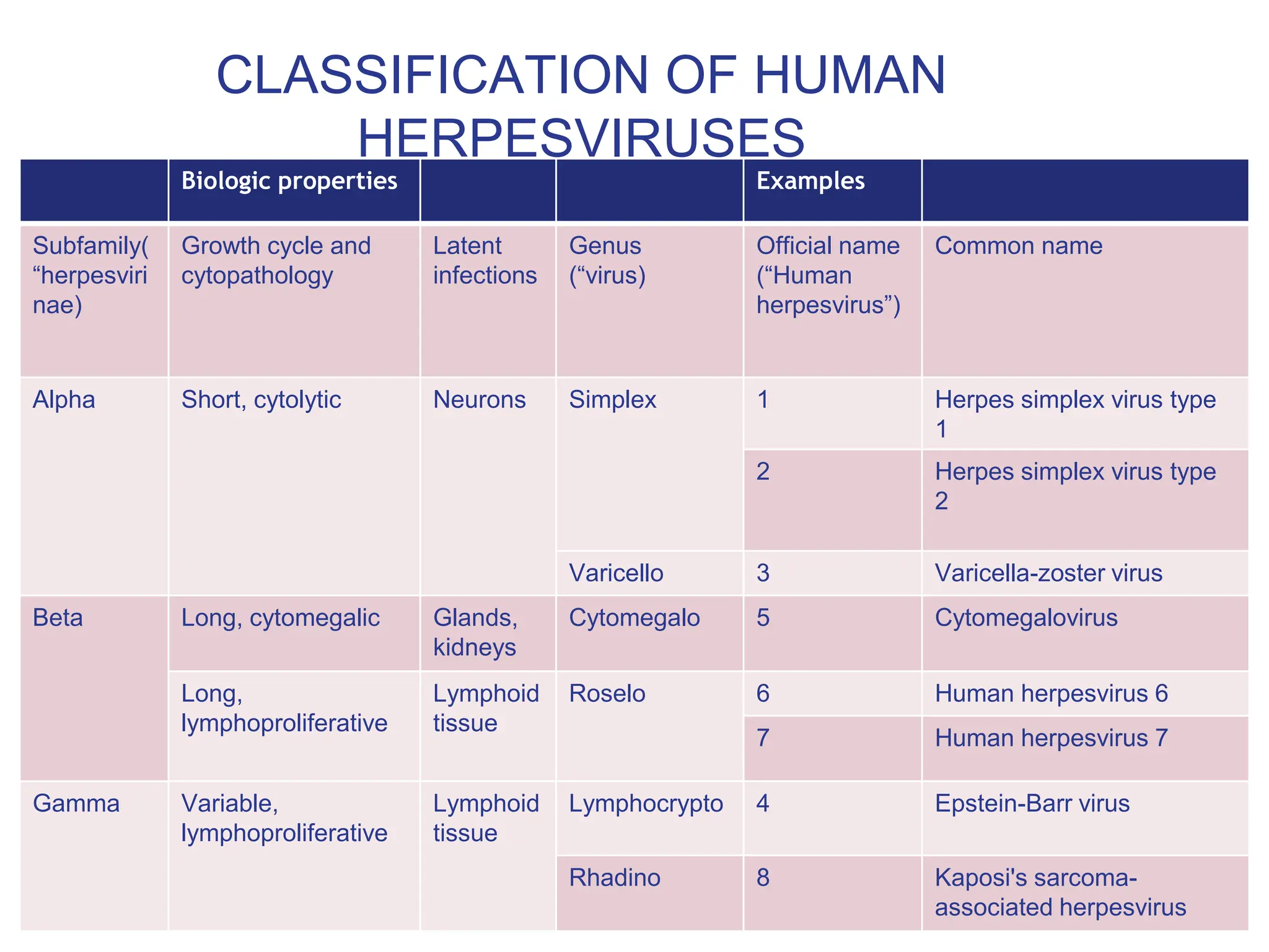 HERPES SIMPLEX VIRUS 12032019 TUESDAY pptx | PPTX