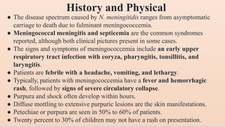 Meningococcal Infection 13032024 WEDNESDAY.pptx