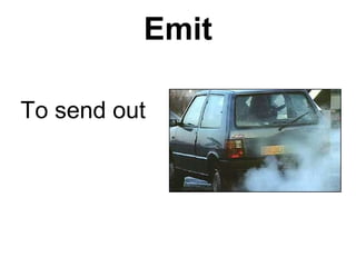 Mitt root powerpoint | PPT