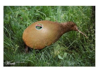 Mit Tud A Photoshop | PPS