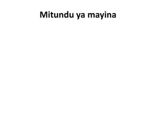 Mitundu ya mayina | PPTX