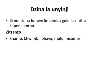 Mitundu ya mayina | PPTX