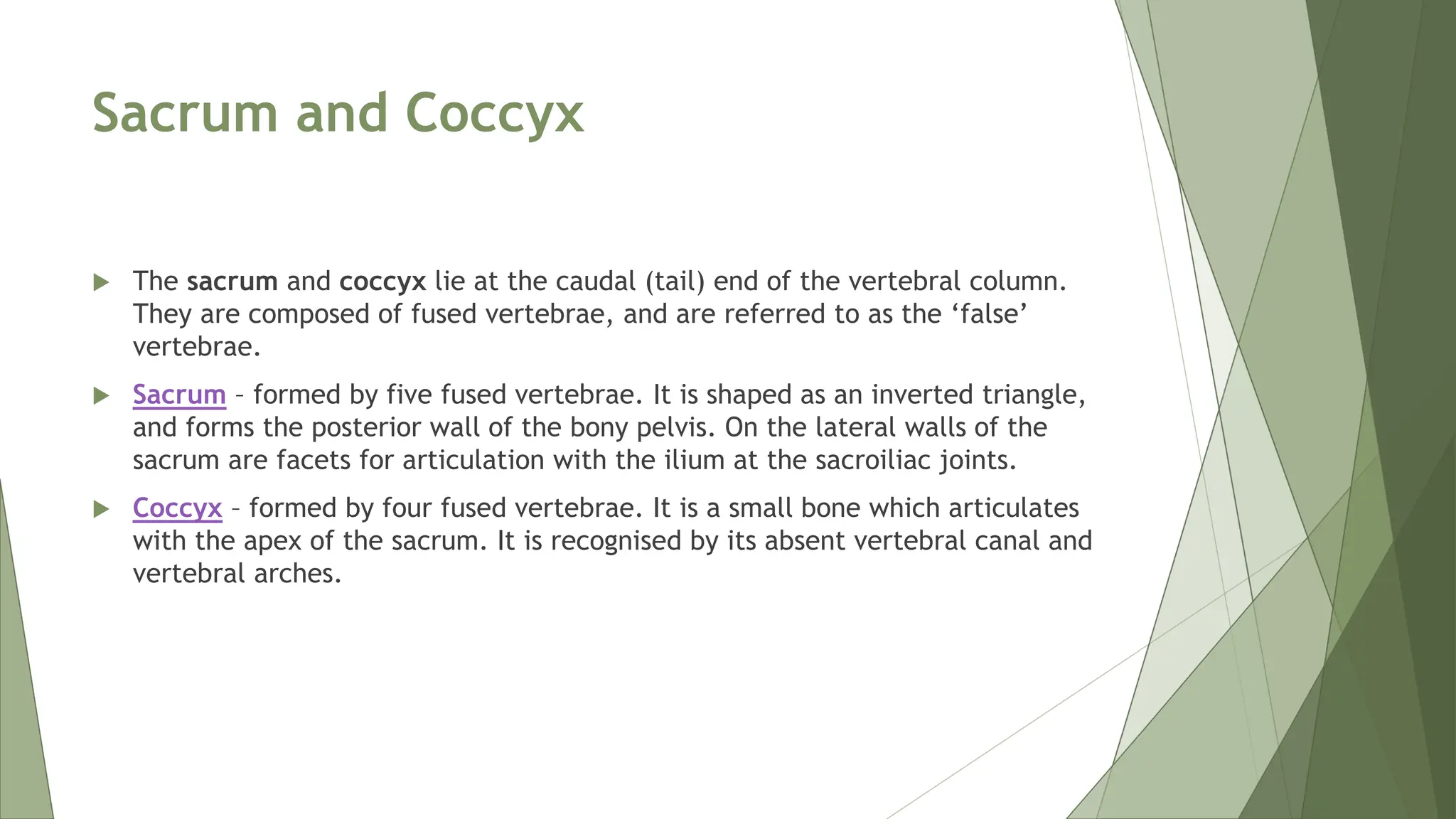 vertebral coloumn/ spine/ back bone/ spinal cord | PDF