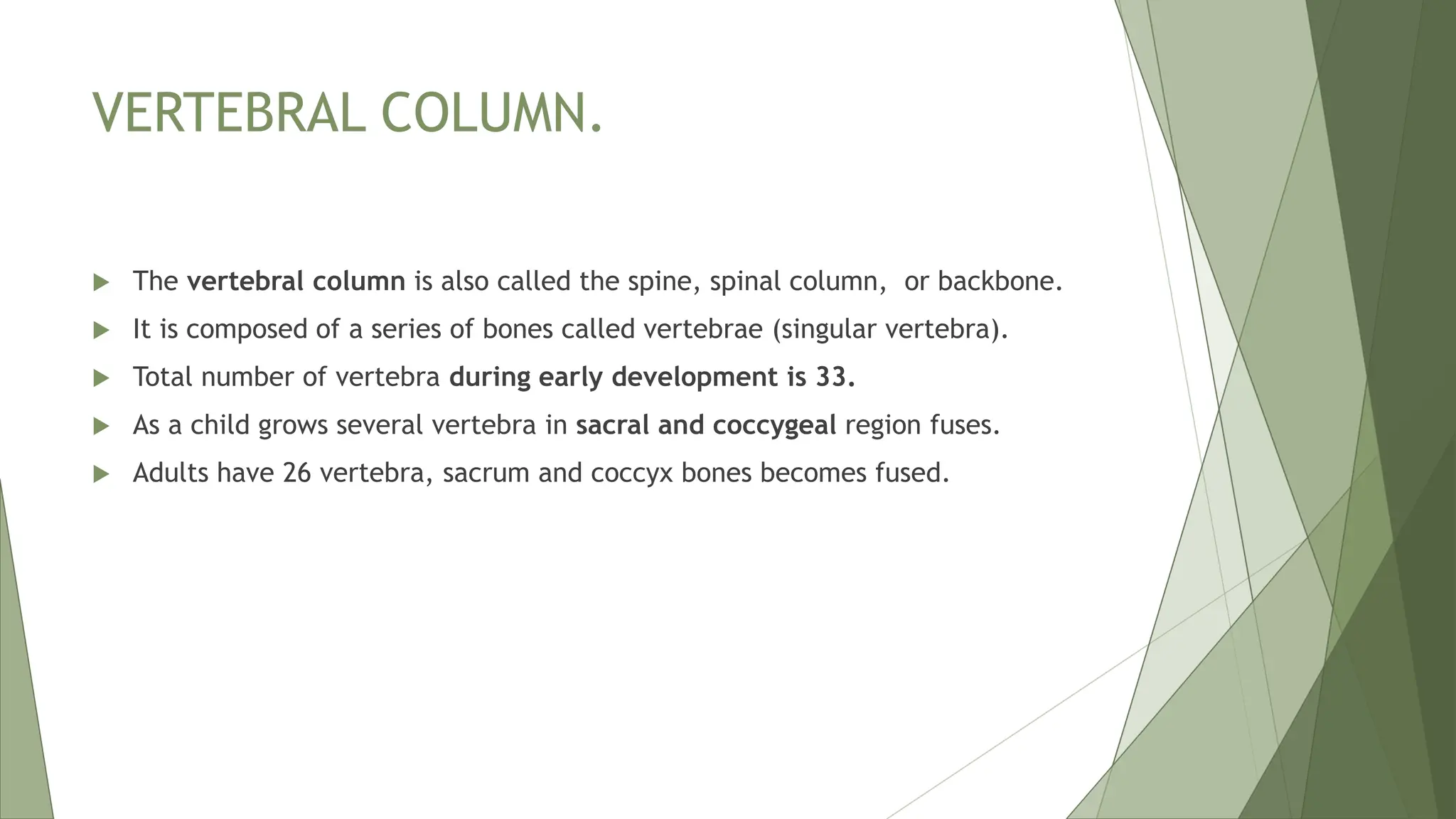 vertebral coloumn/ spine/ back bone/ spinal cord | PDF