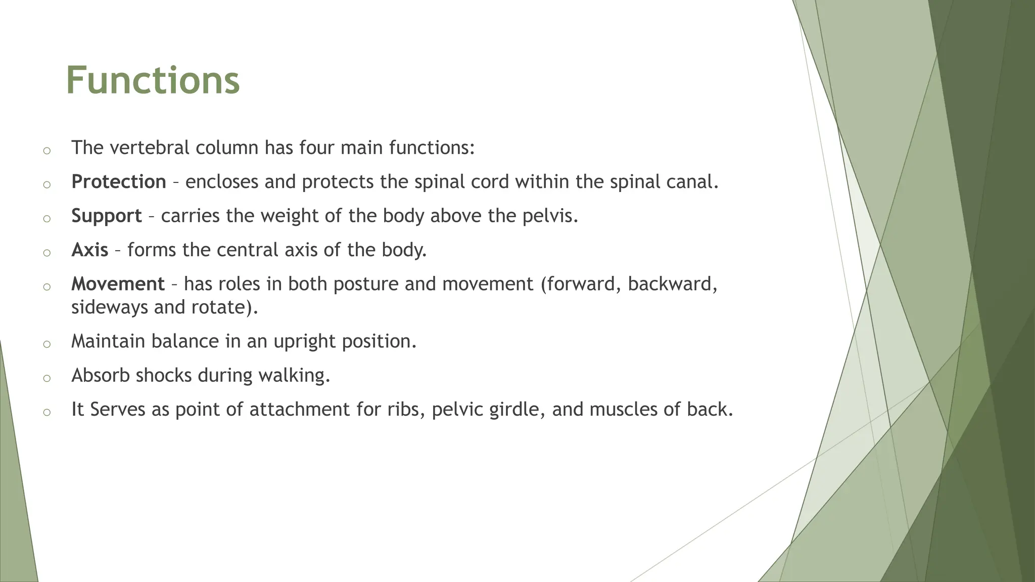 vertebral coloumn/ spine/ back bone/ spinal cord | PDF