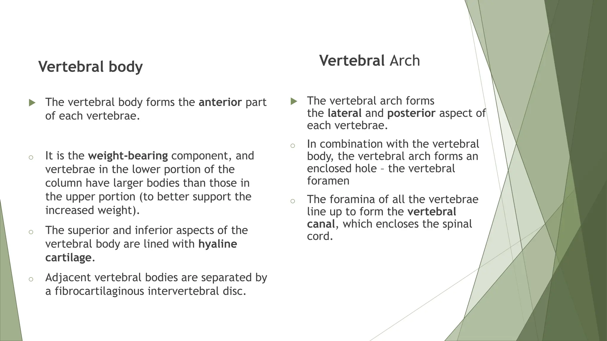 vertebral coloumn/ spine/ back bone/ spinal cord | PDF