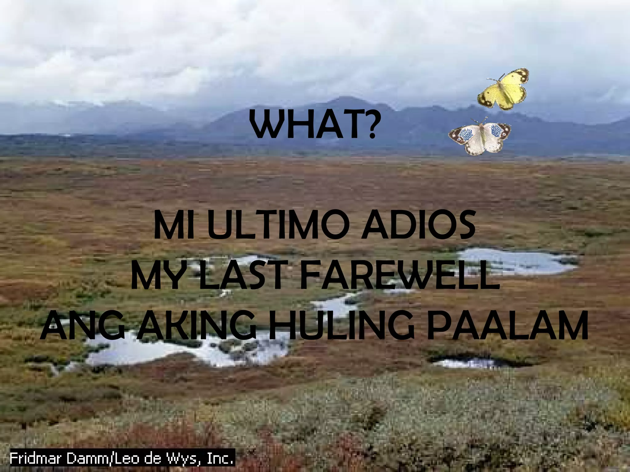 Mi ultimo adios | PPT