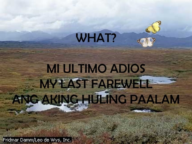 Mi ultimo adios | PPT | Poetry | Books and Literature