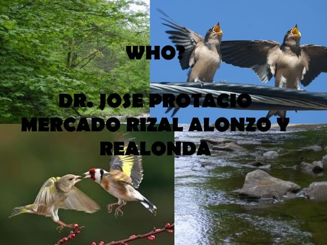 Mi ultimo adios | PPT | Poetry | Books and Literature