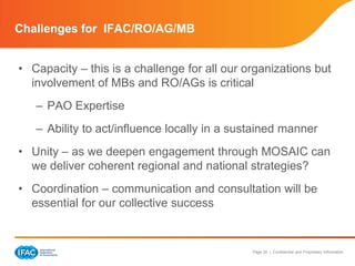 Mentoring: The IFAC Perspective | PPT