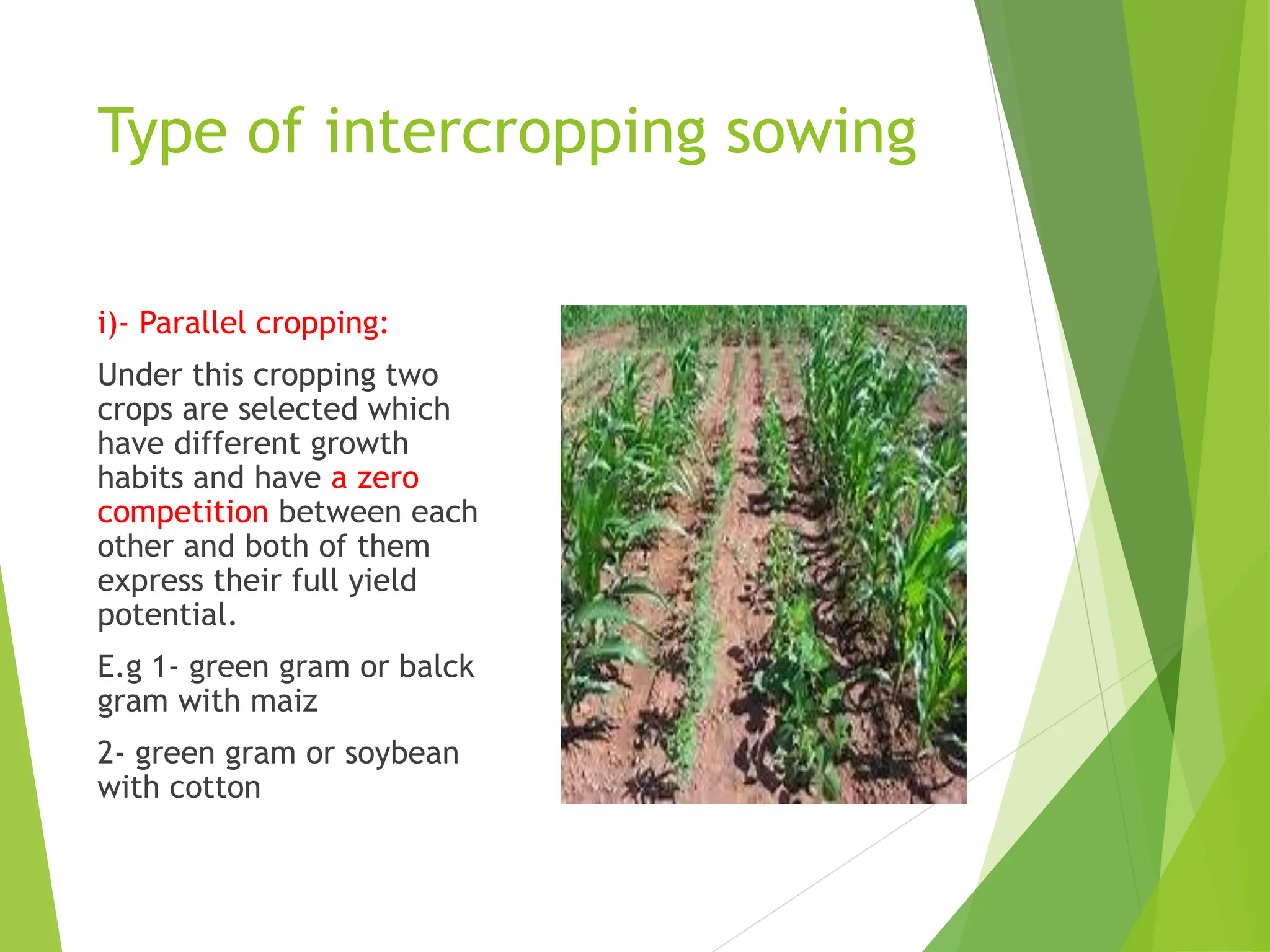 Mix cropping and injjcjfifififter cropping.ppt | Agriculture | Industries