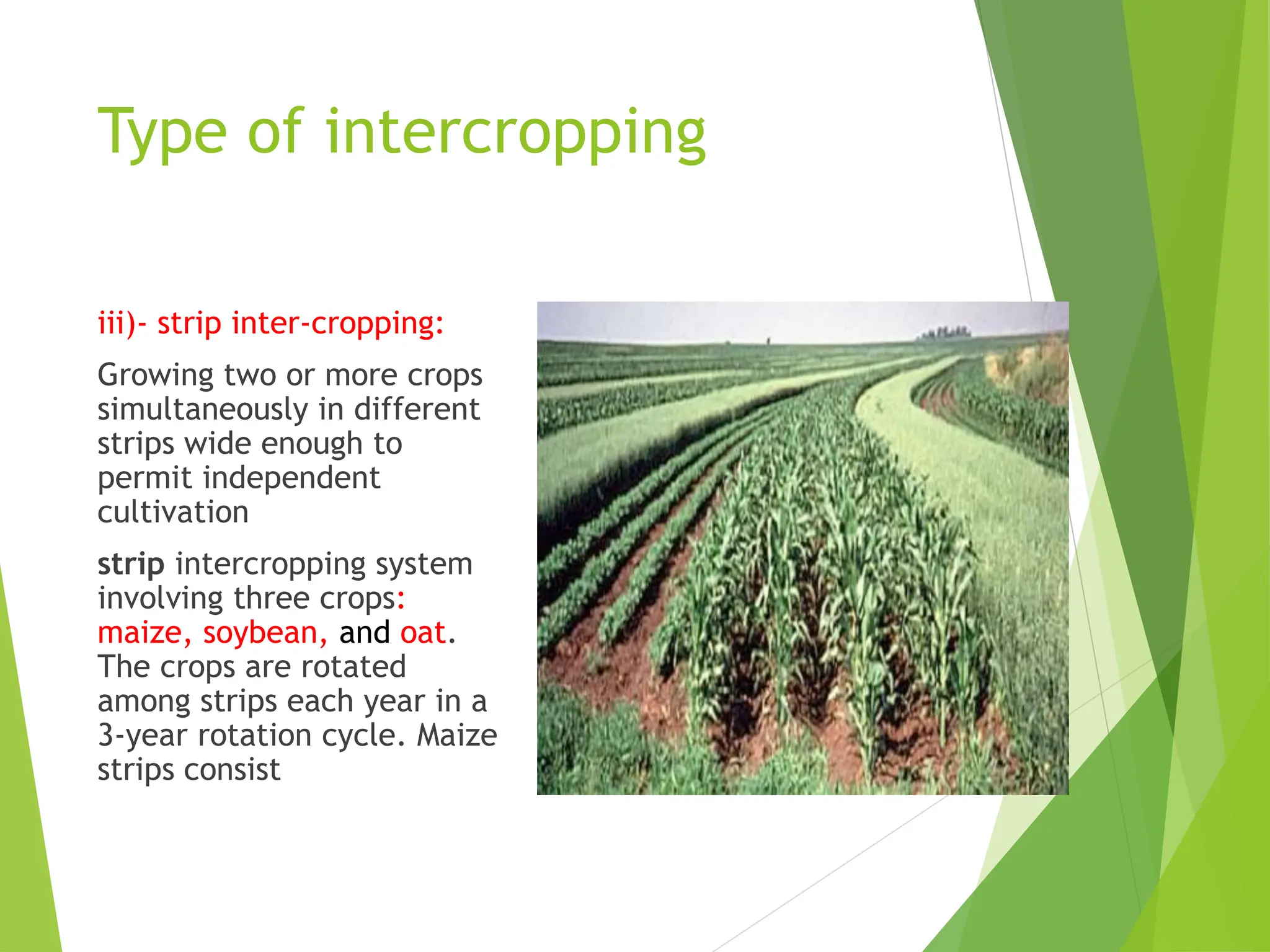 Mix cropping and injjcjfifififter cropping.ppt