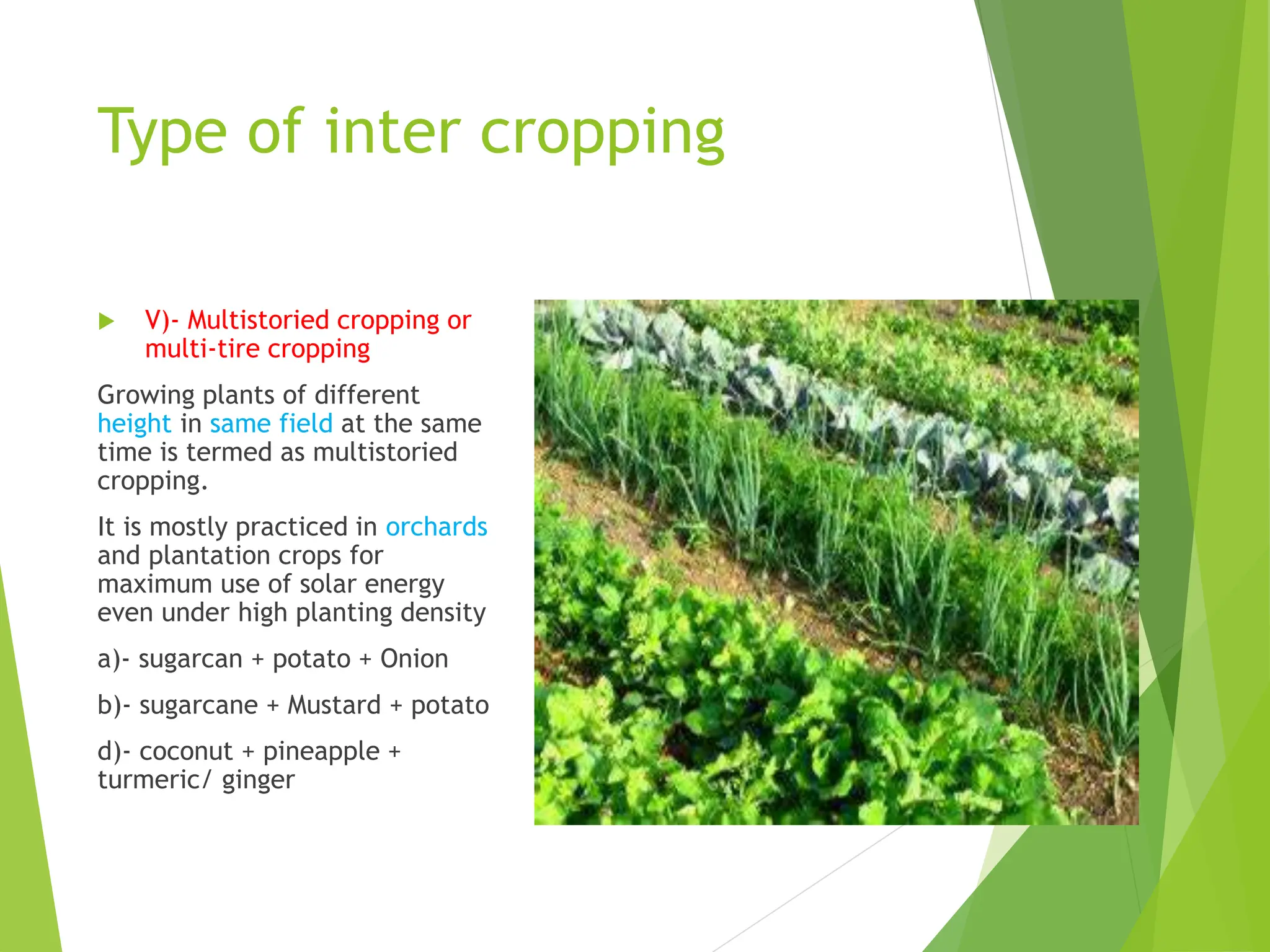 Mix cropping and injjcjfifififter cropping.ppt | Agriculture | Industries