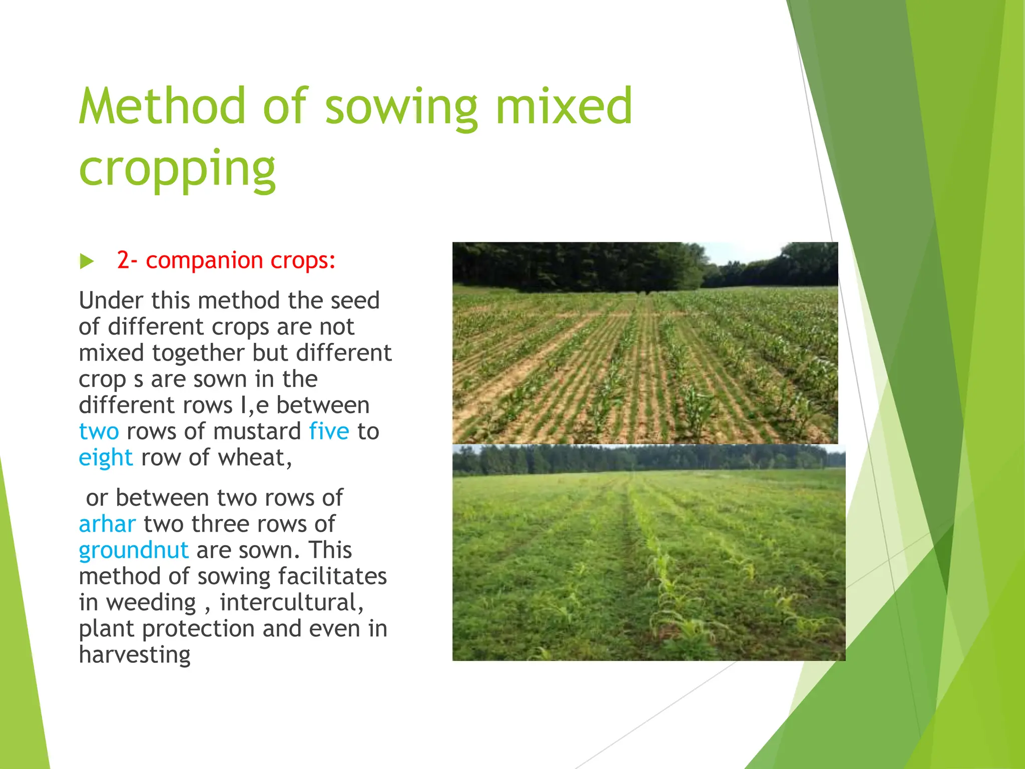 Mix cropping and injjcjfifififter cropping.ppt | Agriculture | Industries