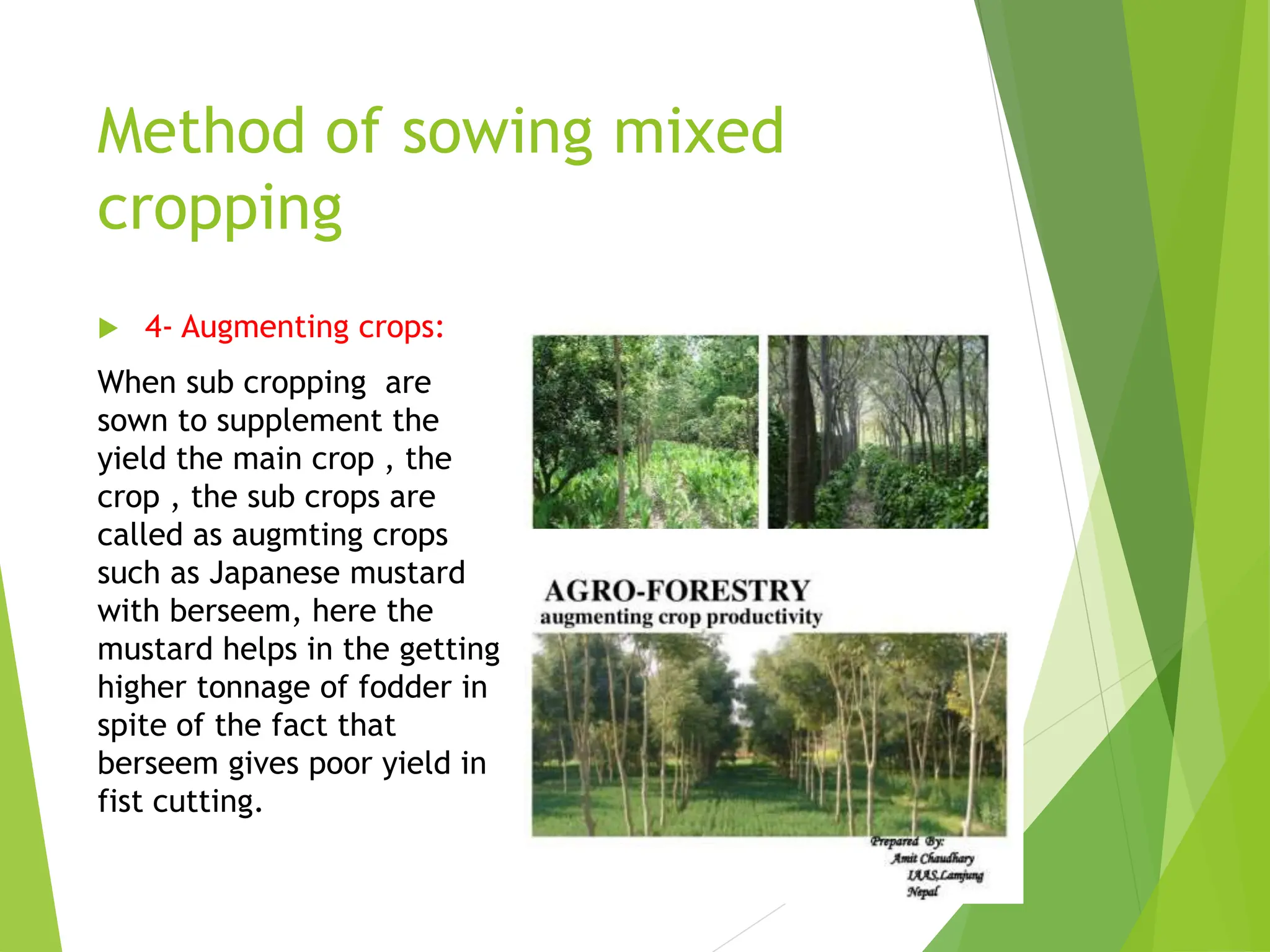 Mix cropping and injjcjfifififter cropping.ppt