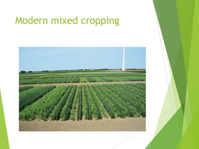 Mix cropping and injjcjfifififter cropping.ppt | Agriculture | Industries
