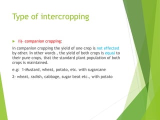Mix cropping and injjcjfifififter cropping.ppt | Agriculture | Industries