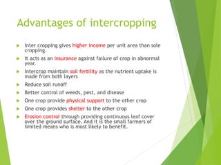 Mix cropping and injjcjfifififter cropping.ppt