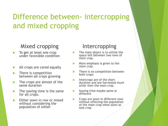 Mix cropping and injjcjfifififter cropping.ppt | Agriculture | Industries