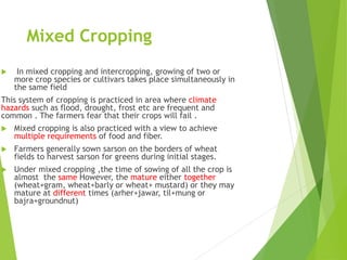Mix cropping and injjcjfifififter cropping.ppt | Agriculture | Industries