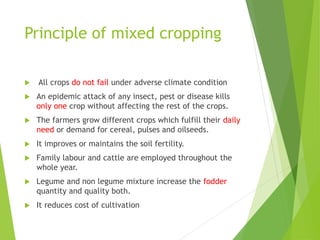 Mix cropping and injjcjfifififter cropping.ppt | Agriculture | Industries