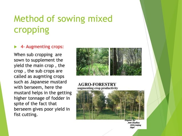 Mix cropping and injjcjfifififter cropping.ppt | Agriculture | Industries