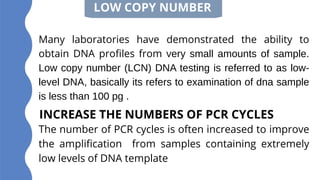 Mixed sample and low copy number DNA | PPTX | Genetics | Science