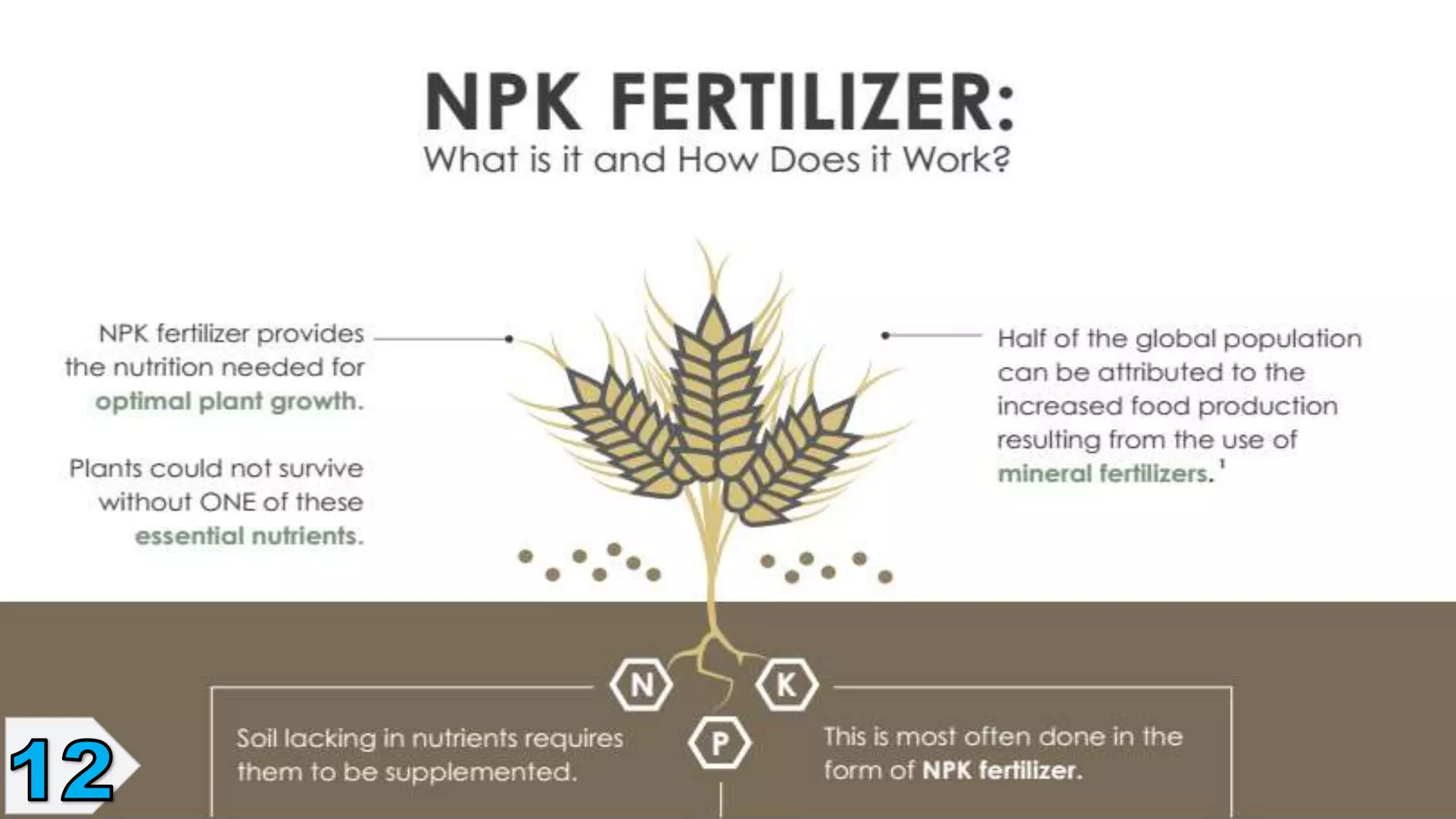 Mixed & Complex Fertilizer.pptx