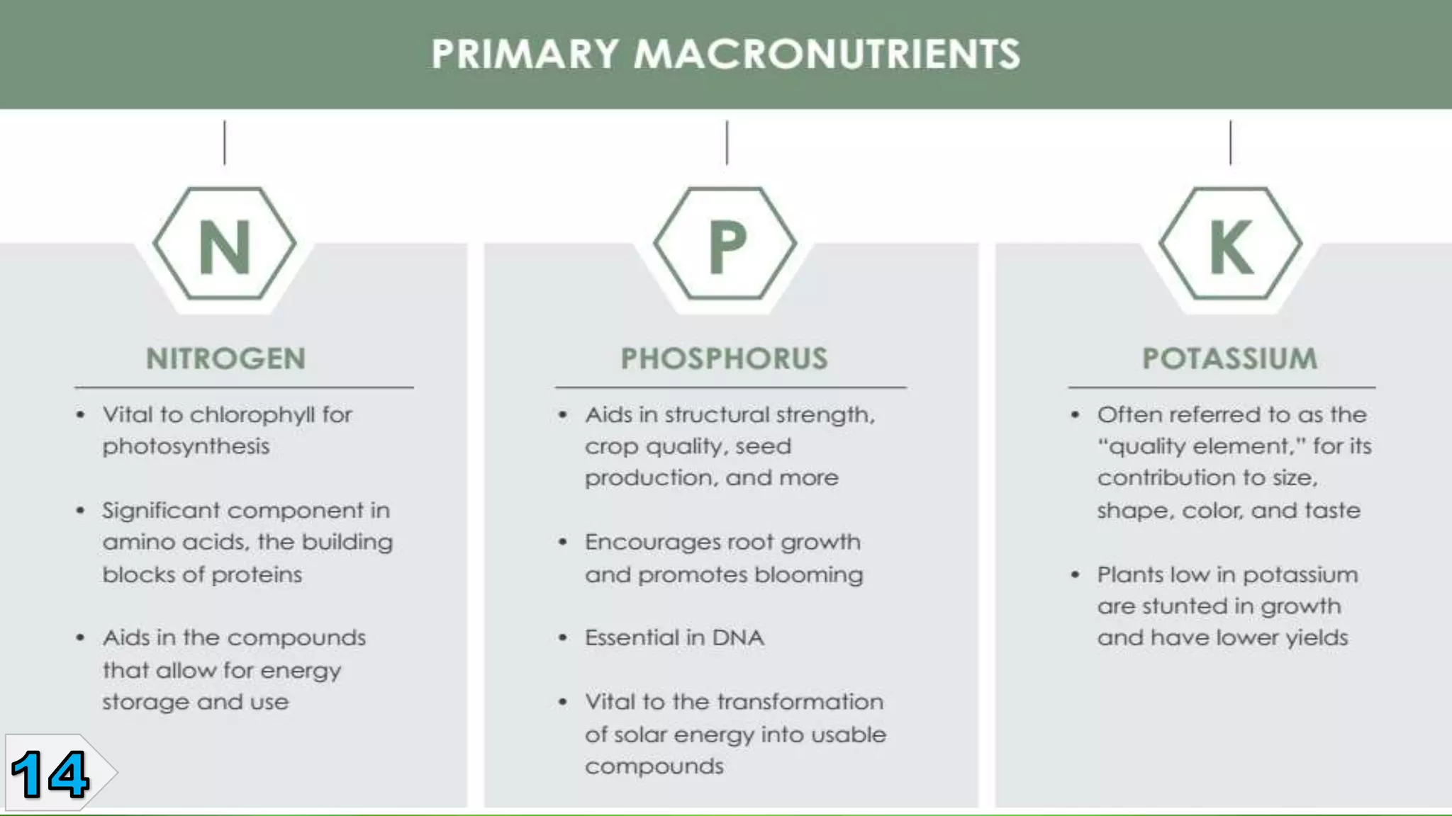 Mixed & Complex Fertilizer.pptx