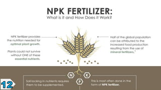 Mixed & Complex Fertilizer.pptx