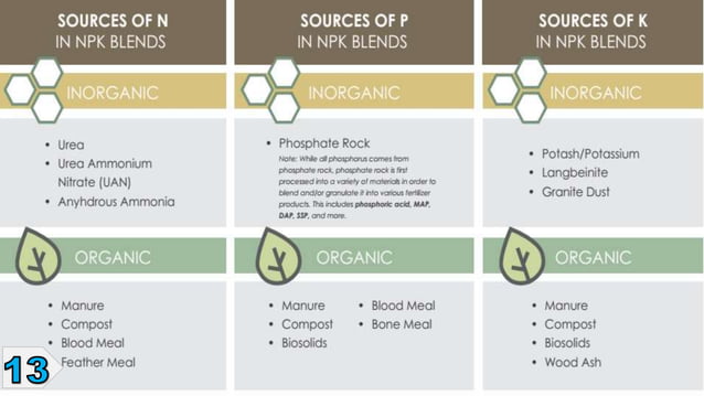 Mixed & Complex Fertilizer.pptx