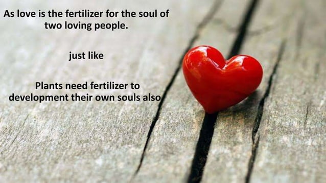 Mixed & Complex Fertilizer.pptx