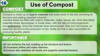 Mixed & Complex Fertilizer.pptx