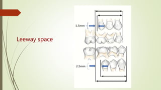 Mixed dention ppt | PPTX