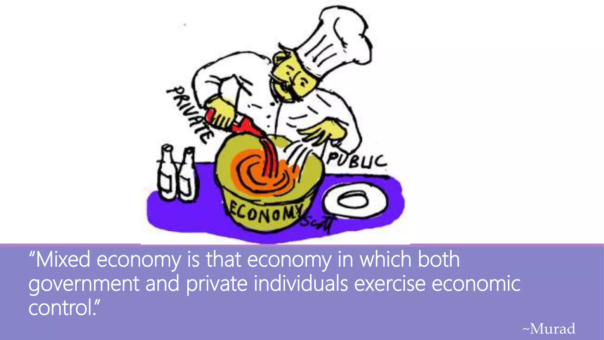 Mixed Economy | PPTX