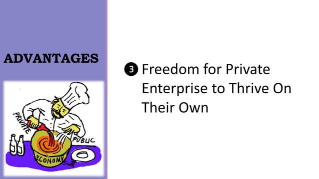 Mixed Economy | PPTX