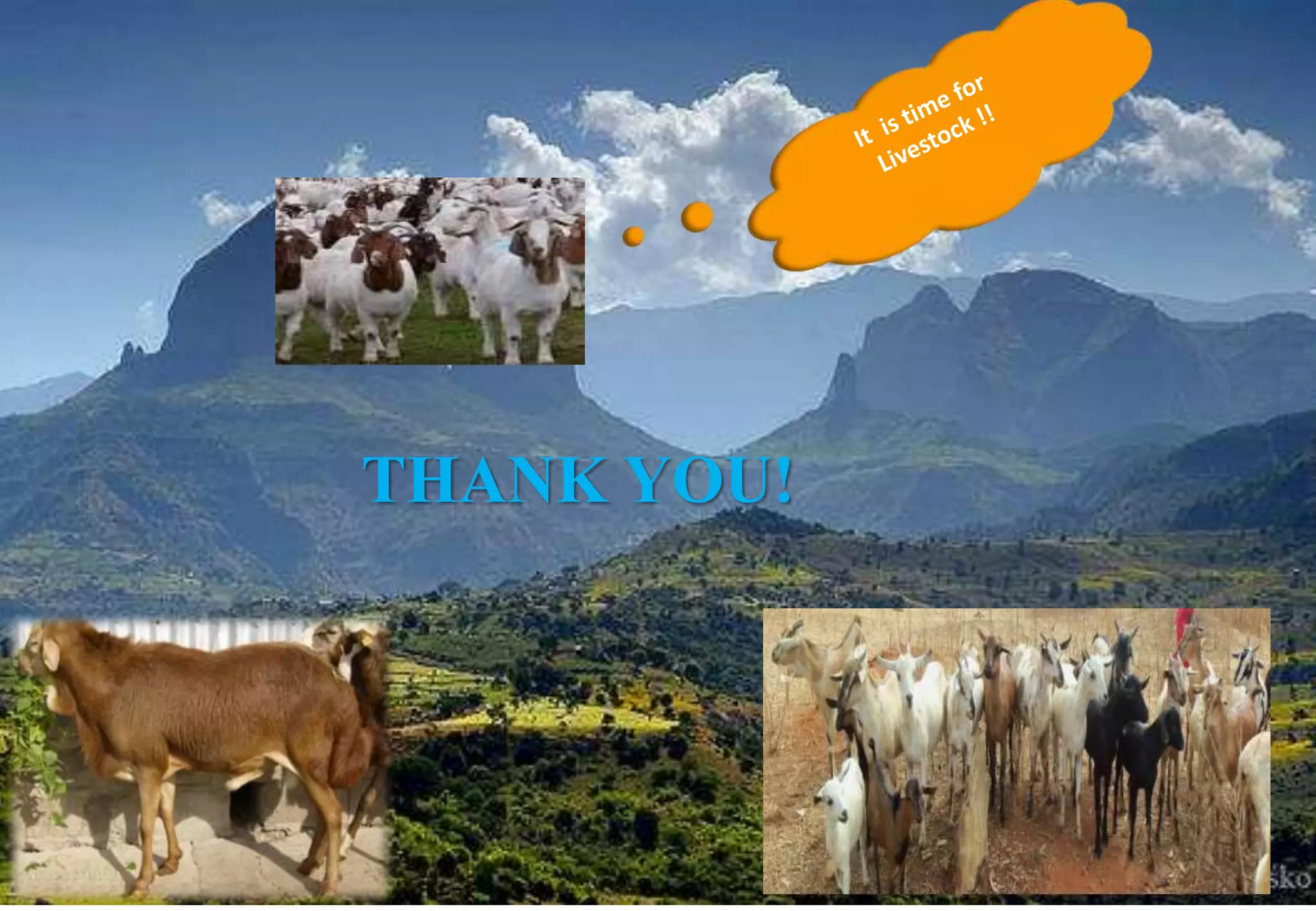 Challenges and Opportunities of Small Ruminant Production Under Mixed ...