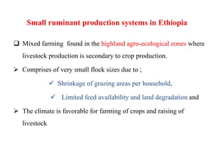 Challenges and Opportunities of Small Ruminant Production Under Mixed ...